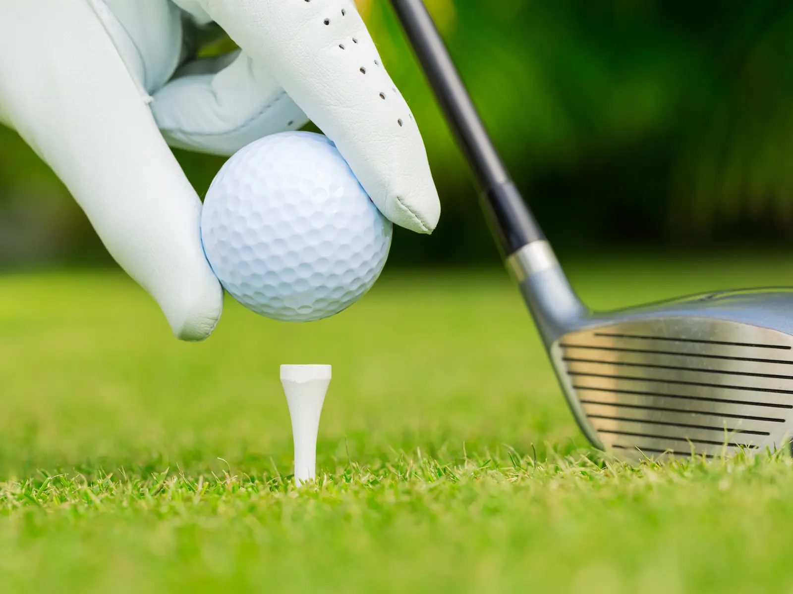 Maps and Apps | Loyalist Township